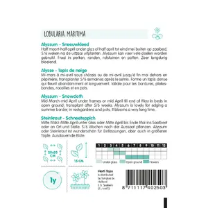 Alyssum 'Sneeuwkleed' - Tuinland | Hét Tuincentrum van het Noorden ...