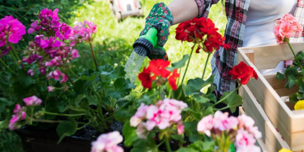 Buitenplanten - Groen geluk vind je bij Tuinland - Tuinland | Hét ...