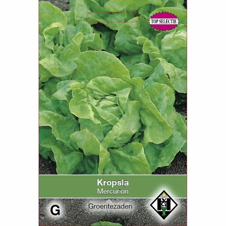 Kropsla 'Mercurion' - Tuinland | Hét Tuincentrum van het Noorden ...